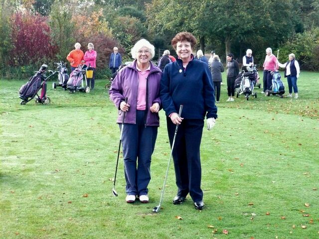 Ladies Captain Drive In :: Avington Park Golf Course is a nine hole ...